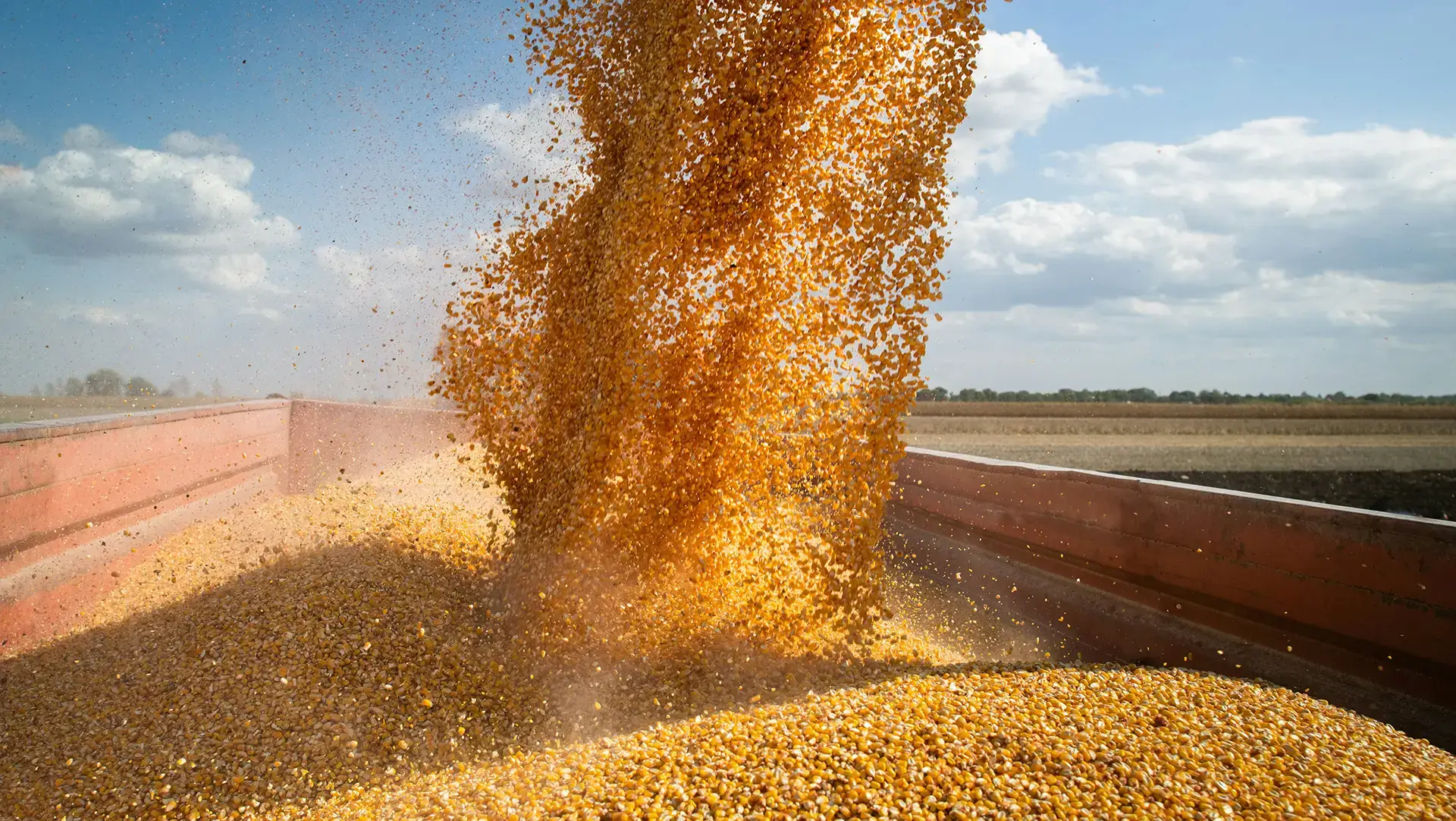 Cereal production - Farm of the Future
